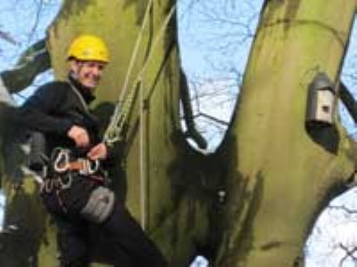 Cheshire Bat Group | Record