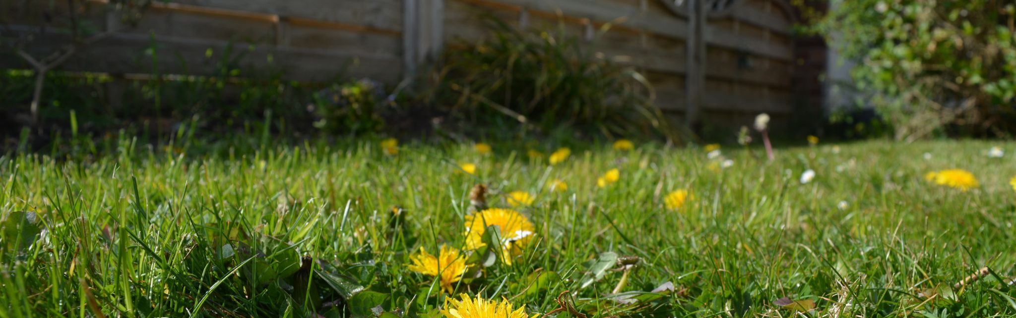 Importance of garden recording | RECORD