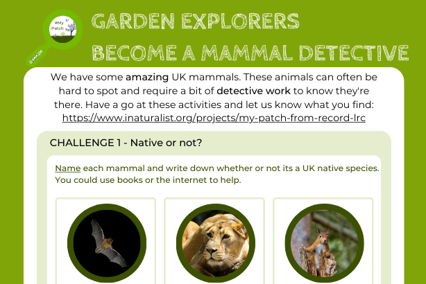 Mammals learning resources | RECORD