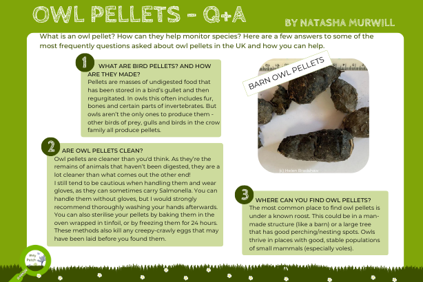 Mammals learning resources | RECORD