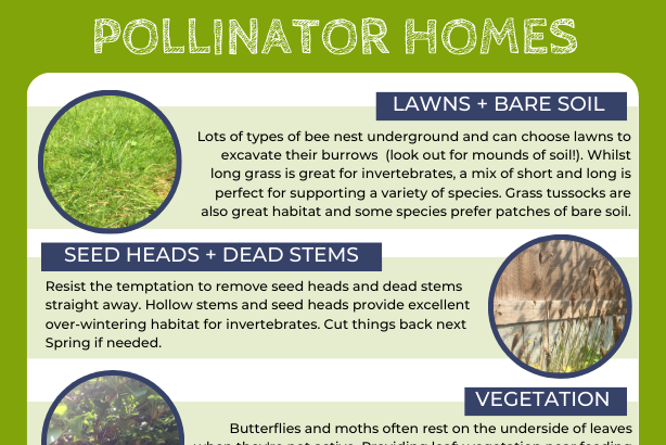 Wildlife gardening learning resources | RECORD