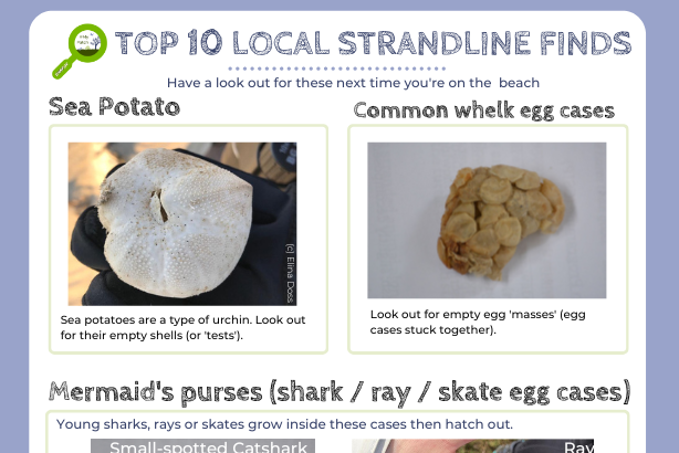 Other learning resources | RECORD